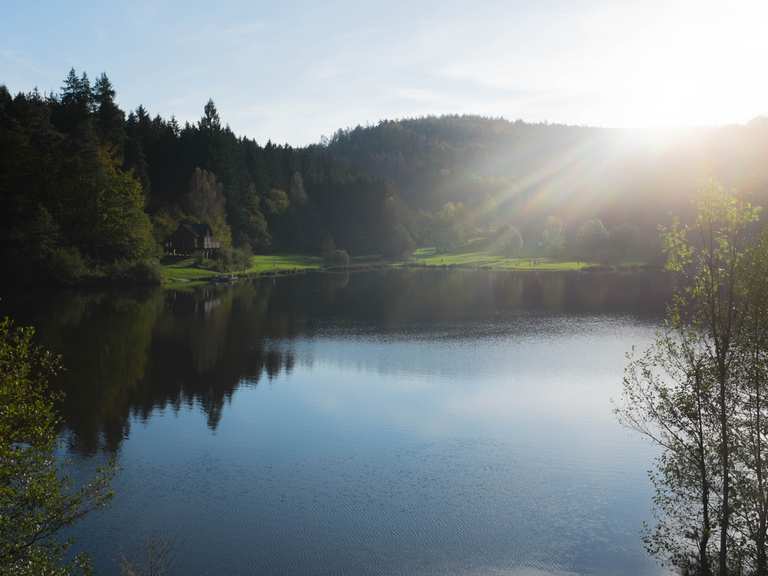 Marbach Stausee Routes for Walking and Hiking | Komoot