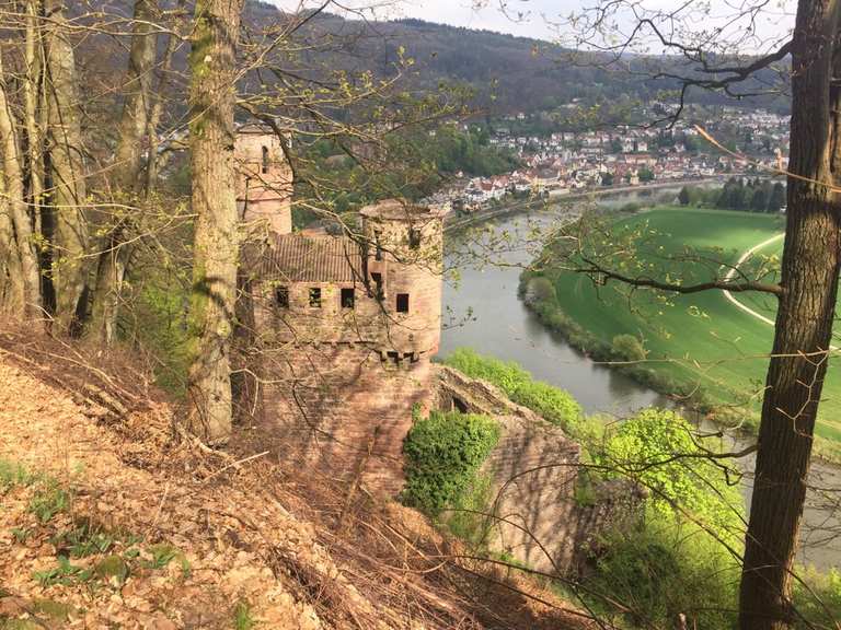 Vier-Burgen-Tour in Neckarsteinach – Wander- & Radrouten | Komoot