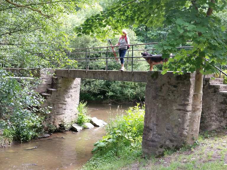 Brücke über den Elzbach: Wanderungen und Rundwege | komoot