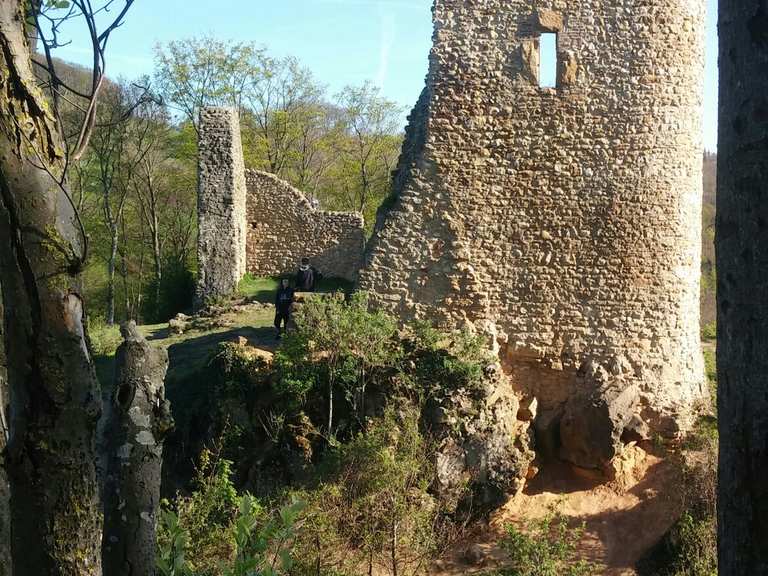 Schneeburg – Jesuitenschloss Weg Runde von Merzhausen | Wanderung | Komoot