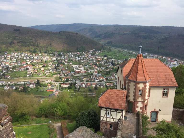 Feste Dilsberg: Wanderungen und Rundwege | komoot