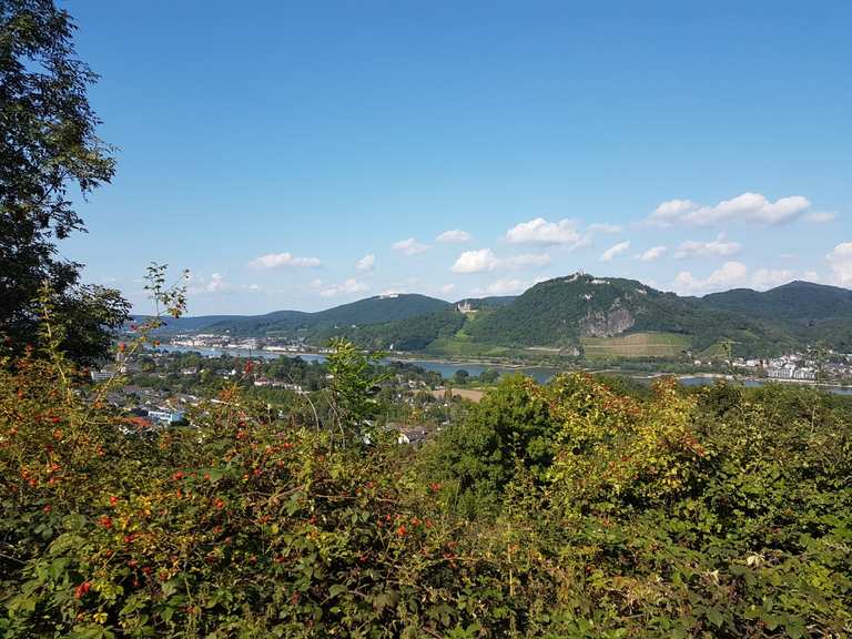 Rodderberg : Radtouren und Radwege | komoot