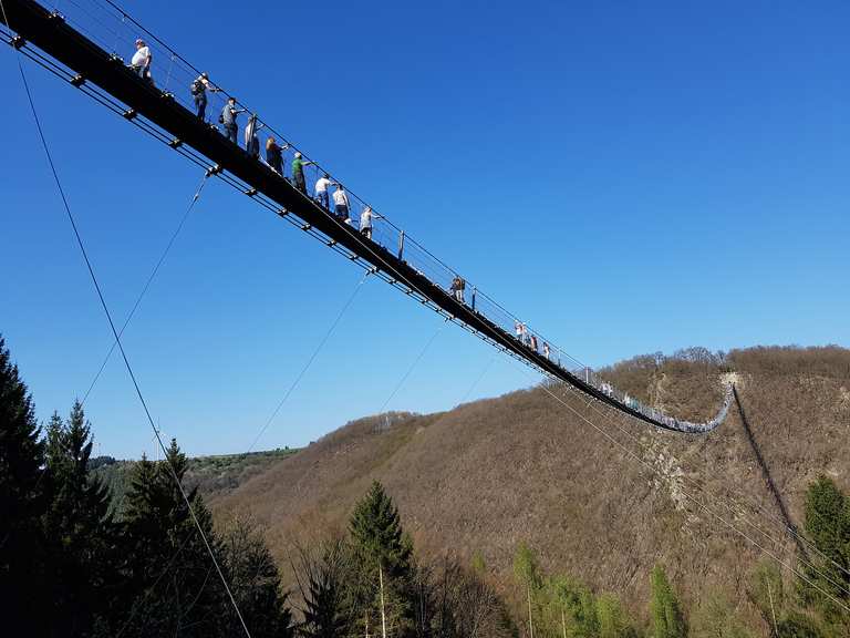 Geierlay Hängeseilbrücke - Sosberg, Cochem-Zell | Hiking Segment | Komoot