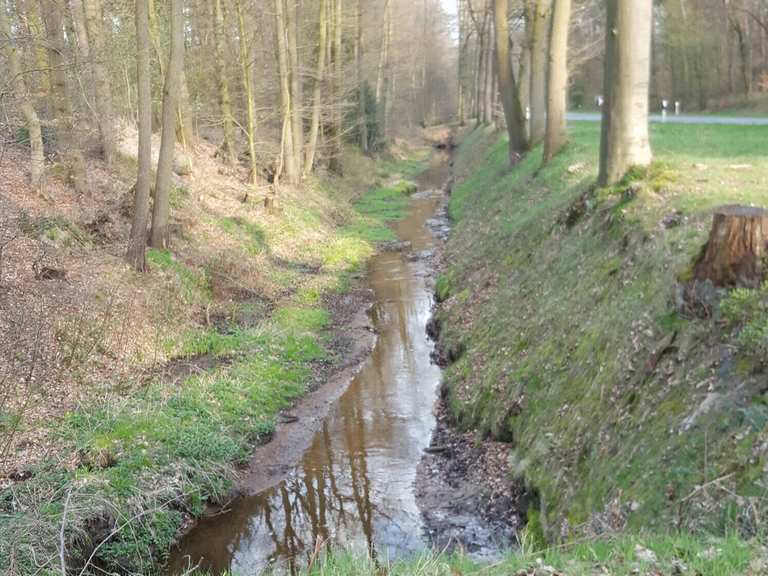Max-Clemens-Kanal-Teilstück Maxhafen bis Clemenshafen - Itinéraires ...