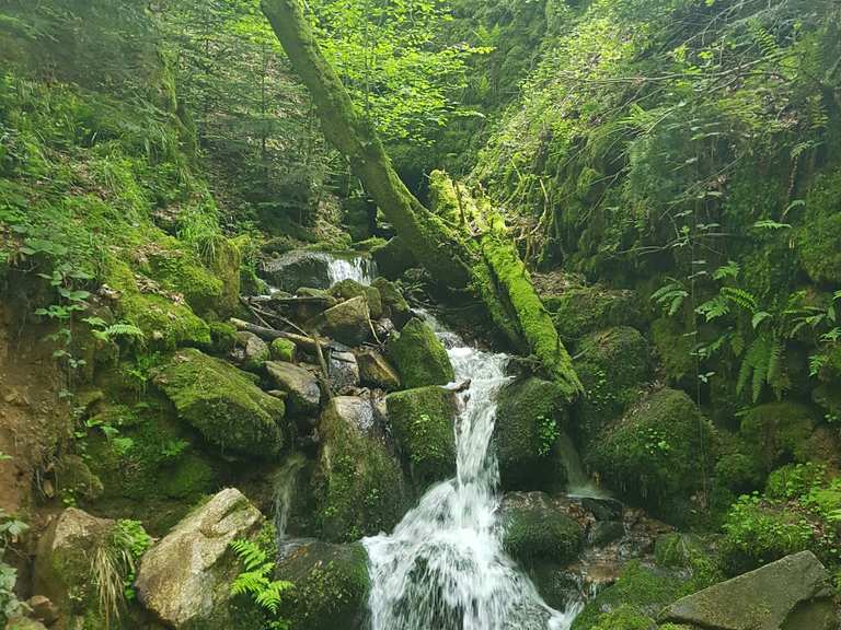 Geroldsauer Wasserfall Routes for Walking and Hiking | Komoot