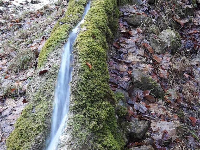 Steinerne Rinne: Wanderungen und Rundwege | komoot