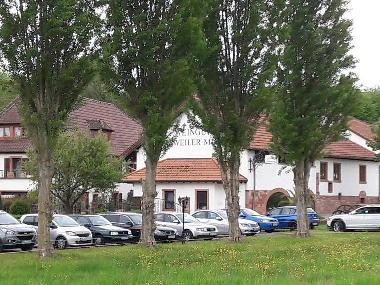 Burrweiler Mühle Routes for Walking and Hiking | Komoot