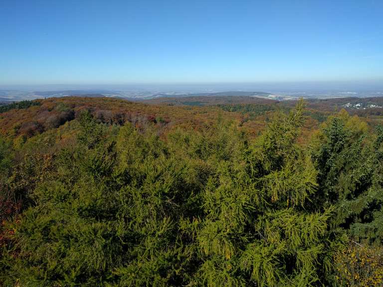 Troppbergwarte - Gablitz, Vienna Surroundings | Hiking Tips & Photos ...