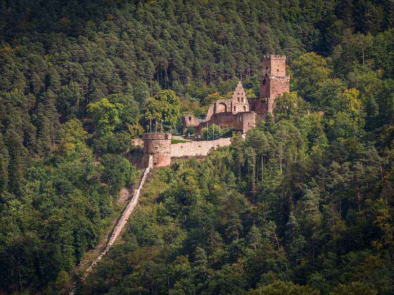Freudenberg Castle Routes for Walking and Hiking | Komoot