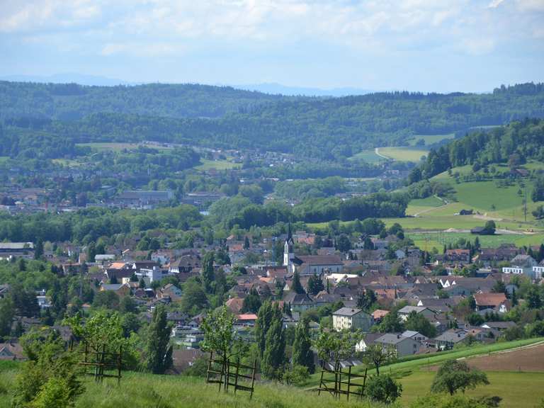 Erlinsbach von oben: Wanderungen und Rundwege | komoot