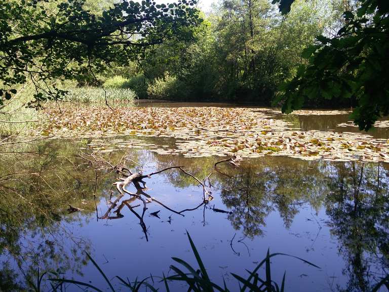 Hermannsee Routes for Walking and Hiking | Komoot