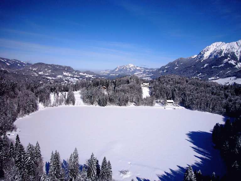Allgäu: to the wintry Freibergsee — winter hiking in Germany | hike ...