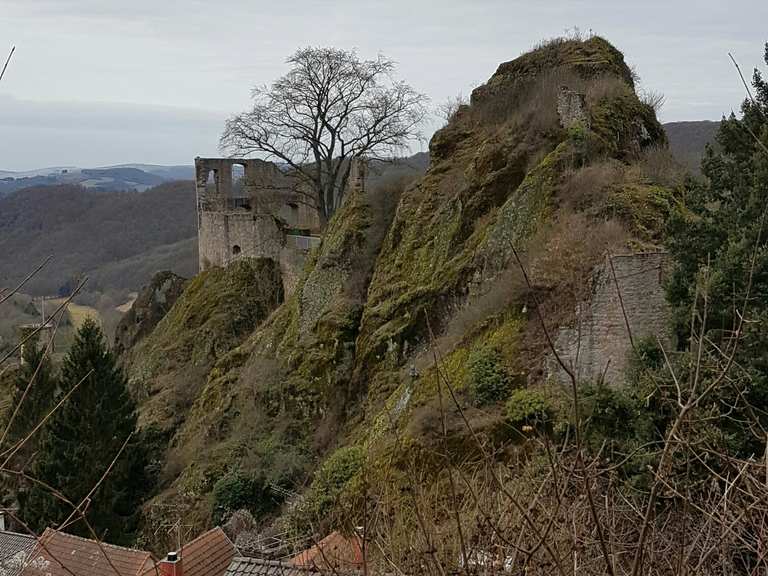 Falkenstein am Donnersberg Routes for Walking and Hiking | Komoot