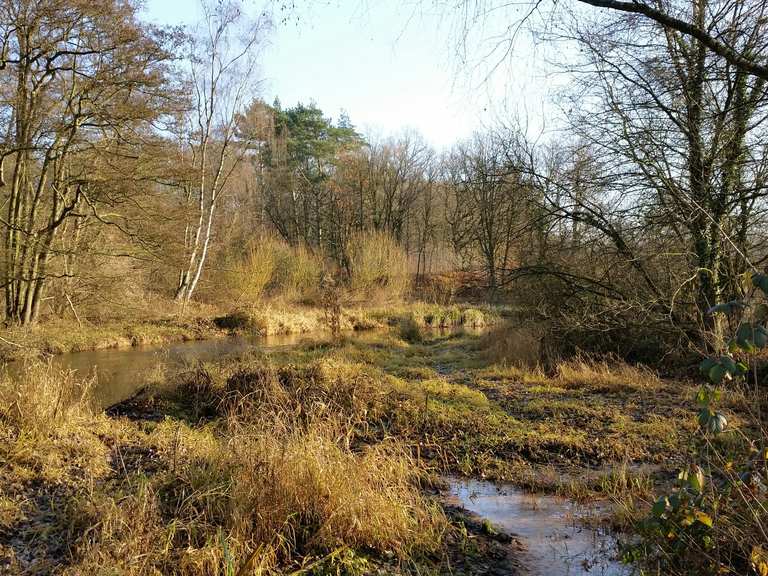 De Swalm in het Swalmdal wandelroutes en hikes | Komoot