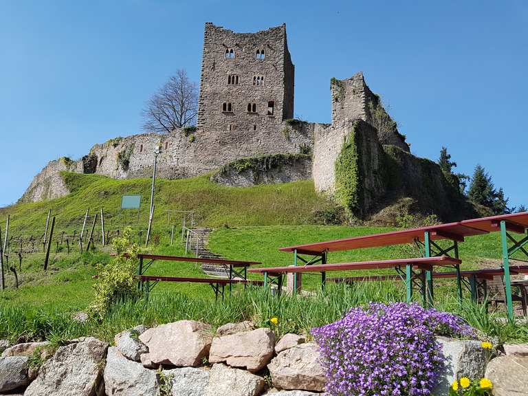 Burgruine Schauenburg – Wander- & Radrouten | Komoot