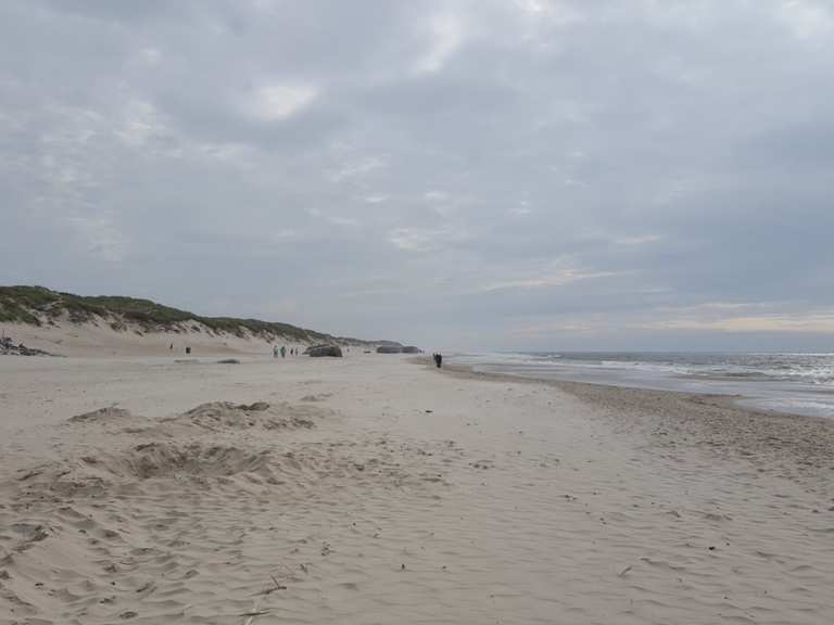 Sondervig Strand Routes for Walking and Hiking | Komoot