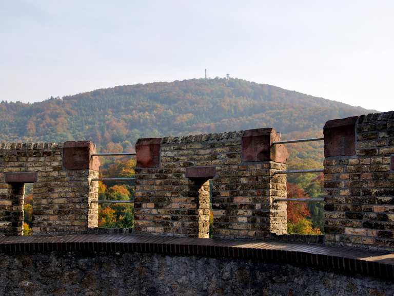 Alsbacher Schloss mit Schlossturm Routes for Walking and Hiking | Komoot