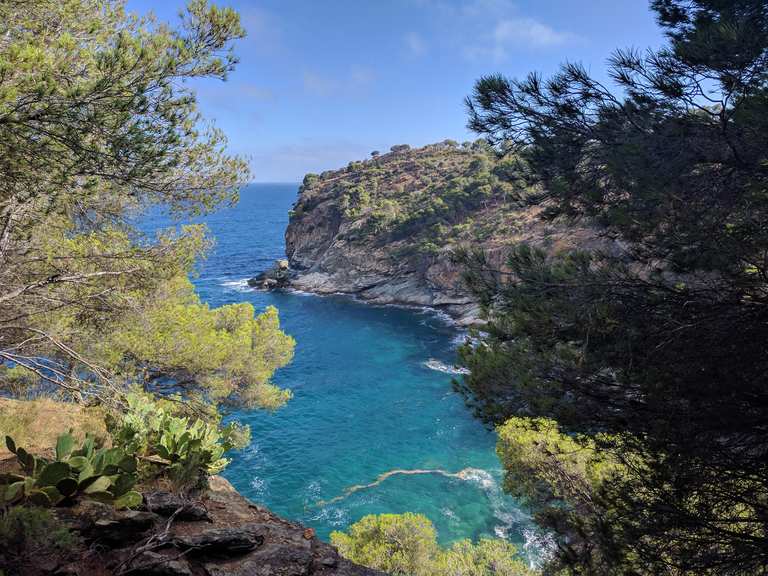 Punta Falconera y Cala Montjoi desde Roses - Circular por el Parque ...