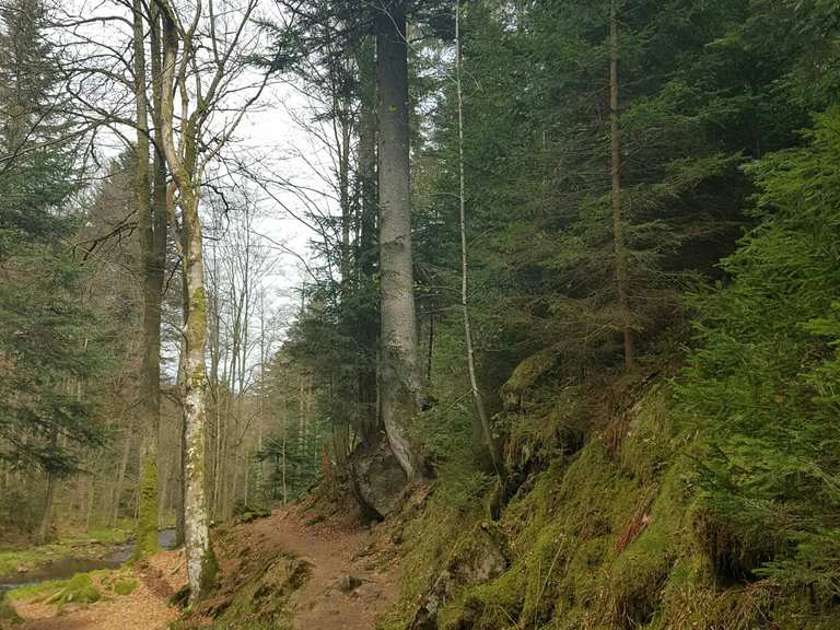 Eyach Wasserwegle: Wanderungen und Rundwege | komoot
