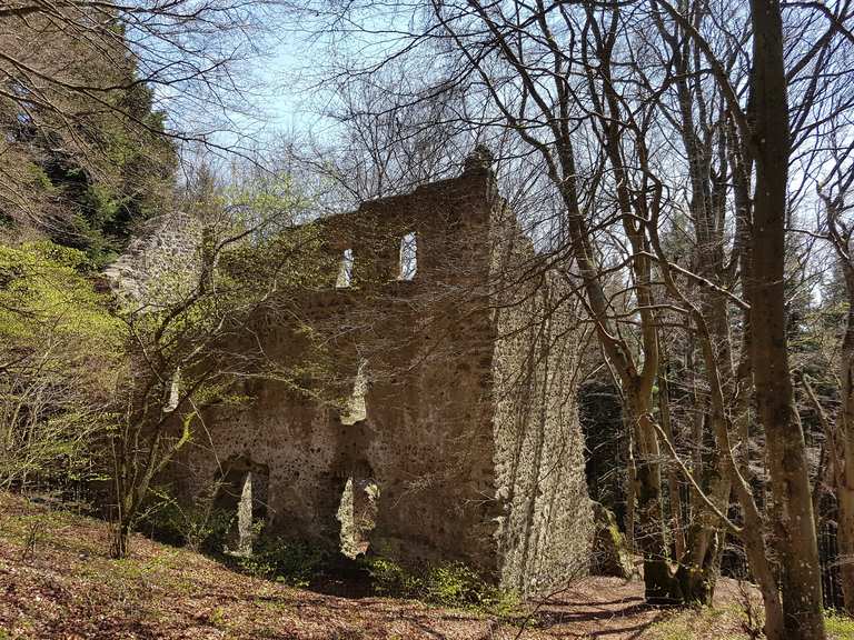 Mühlsteinhöhle – Nerother Kopf Runde von Neroth | Wanderung | Komoot