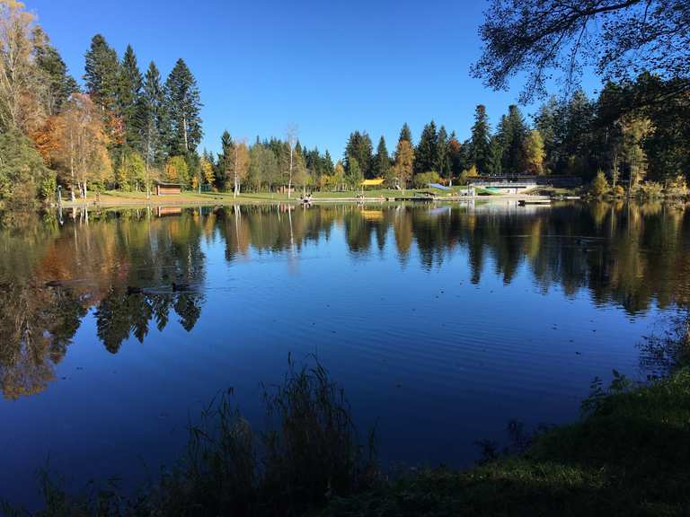 Waldsee bei Lindenberg Routes for Walking and Hiking | Komoot