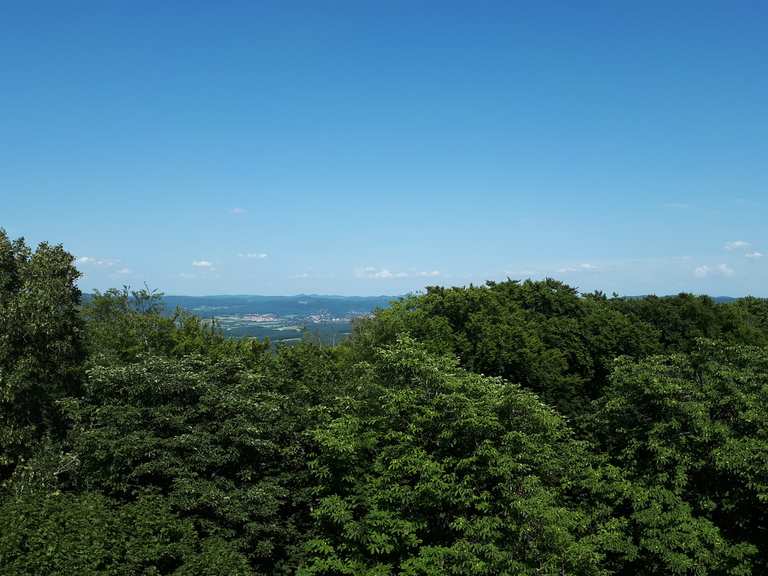 Moritzberg: Mountainbike-Touren und -Trails | komoot