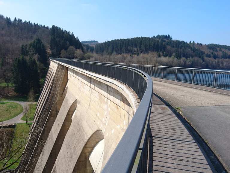 Oleftalsperre: Wanderungen und Rundwege | komoot