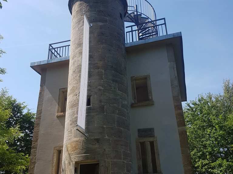 Patersberg-Turm „Schau dich um“: Mountainbike-Touren und -Trails | komoot