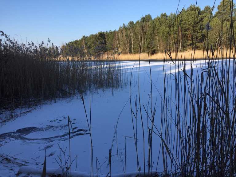 Katjasee - Routes for Walking and Hiking | Komoot