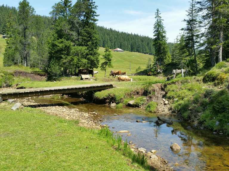 Moorlandschaft Glaubenberg: Wanderungen und Rundwege | komoot