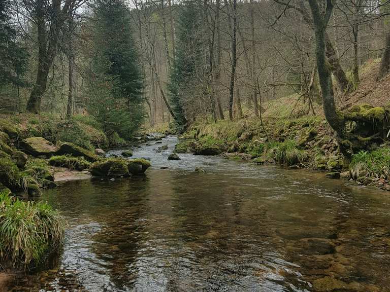 Eyach Wasserwegle: Wanderungen und Rundwege | komoot