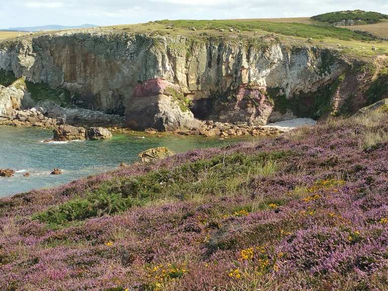 Violet rocks – Rock arc loop from Rhoscolyn | hike | Komoot