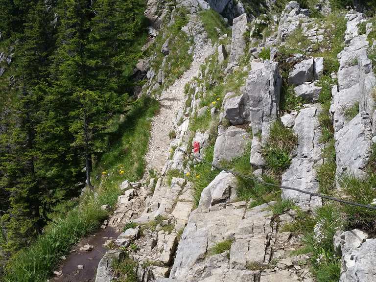 Brecherspitz: Wanderungen und Rundwege | komoot