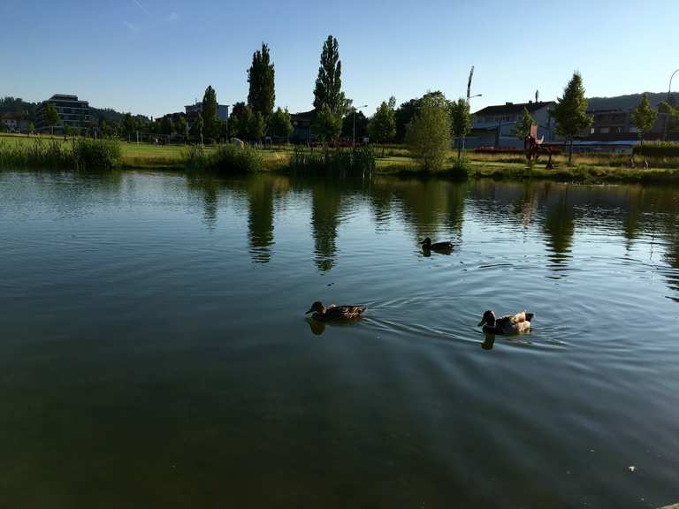 Liebefeld Park routes en kaart | Komoot