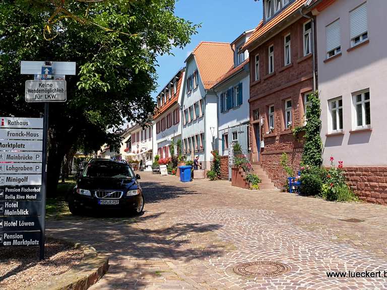 Marktheidenfeld : Radtouren und Radwege | komoot