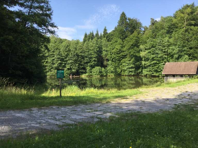 Michelsee bei Aglasterhausen-Michelbach : Radtouren und Radwege | komoot