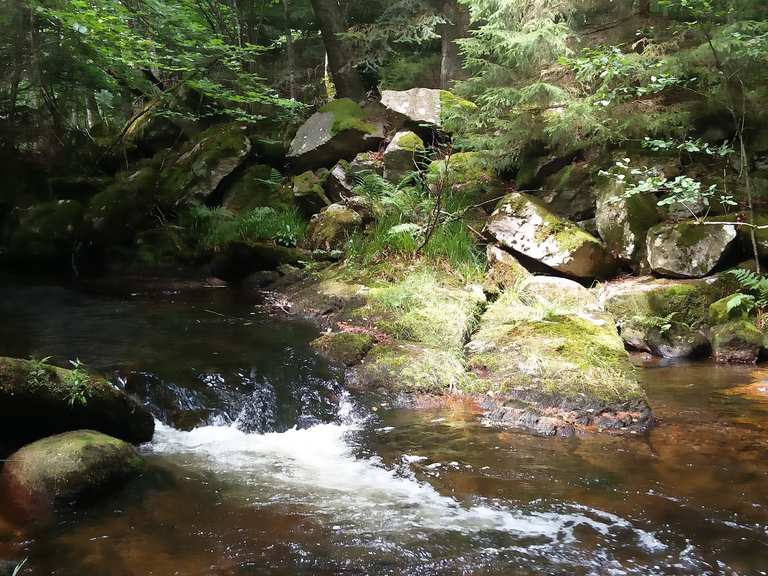 Eyach Wasserwegle: Wanderungen und Rundwege | komoot