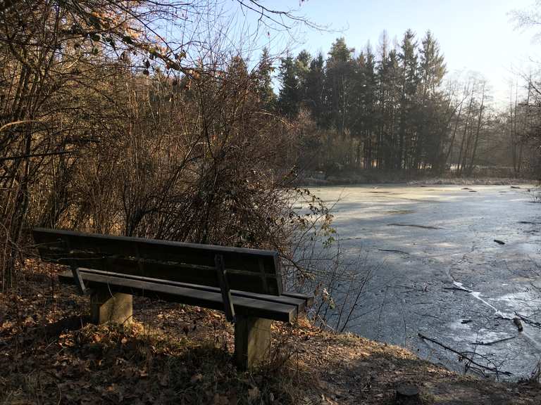 Hermannsee Routes for Walking and Hiking | Komoot