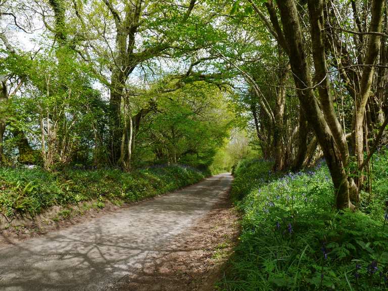 Peak Hill and Mutter's Moor — Exeter gravel routes | mountain bike ride ...
