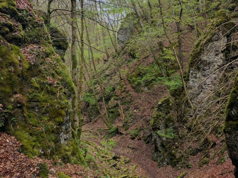 Im Felsental: Wanderungen und Rundwege | komoot