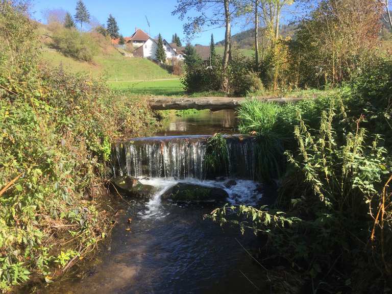Wandern im Brettental – Ludin Mühle Runde von Niedertal | Wanderung ...