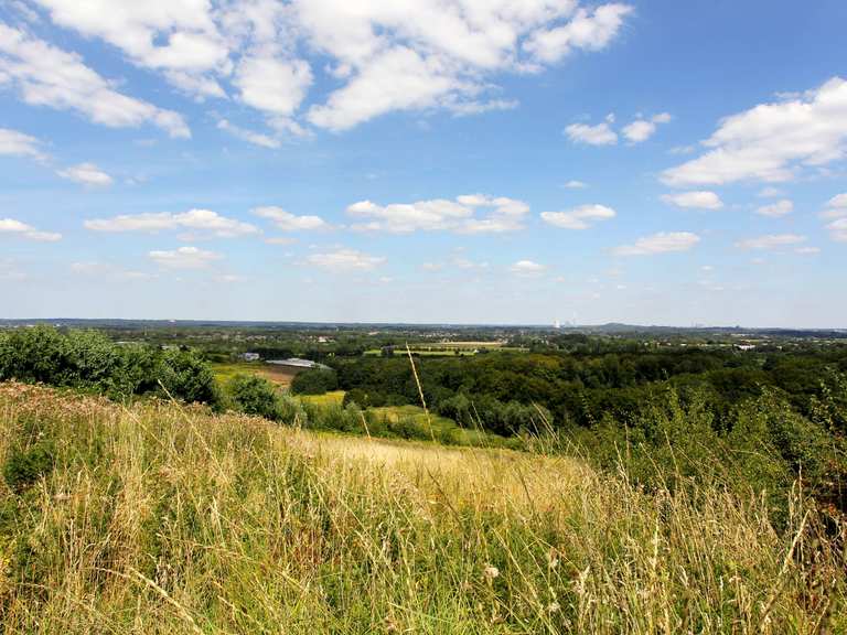Halde Grevel : Radtouren und Radwege | komoot