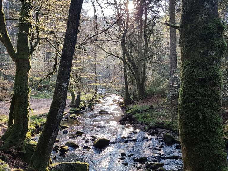 Eyach Wasserwegle: Wanderungen und Rundwege | komoot