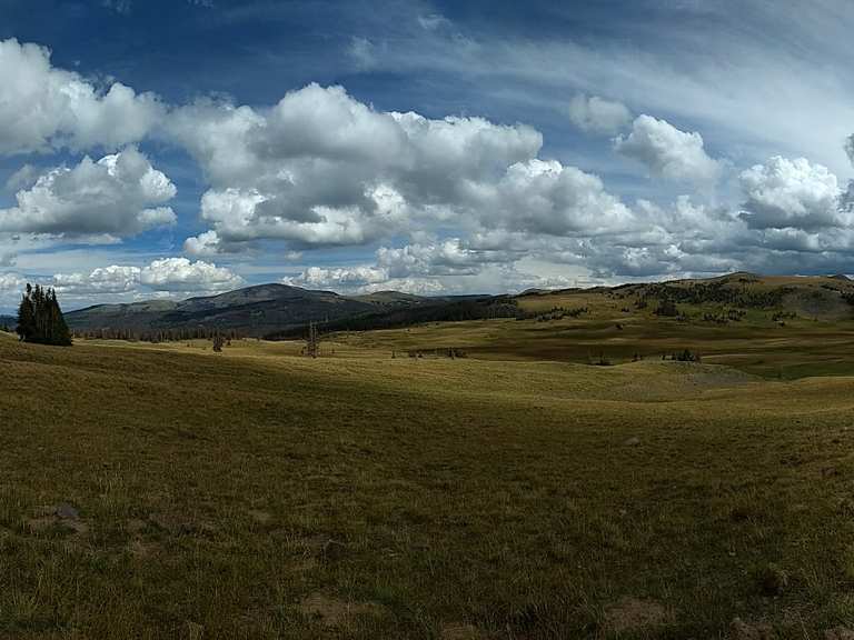 Indiana Pass - summit (11910 ft) - Mountain Bike Trails & Tracks | Komoot