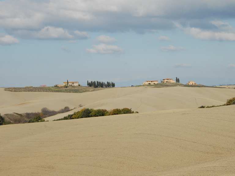 Deserto di Accona: Rennradfahren und Rennradtouren | komoot
