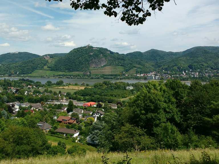 Heinrichsblick am Rodderberg: Wanderungen und Rundwege | komoot