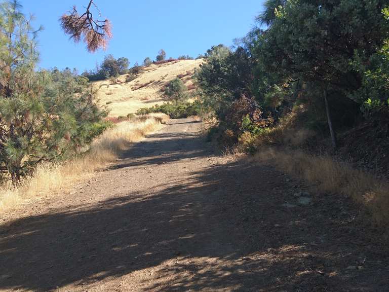 Mount Diablo Grand Loop Trail — Mount Diablo State Park | hike | Komoot