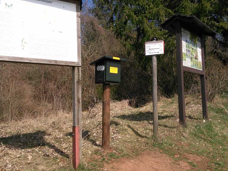 Hörninger Sattelköpfe Routes for Walking and Hiking | Komoot
