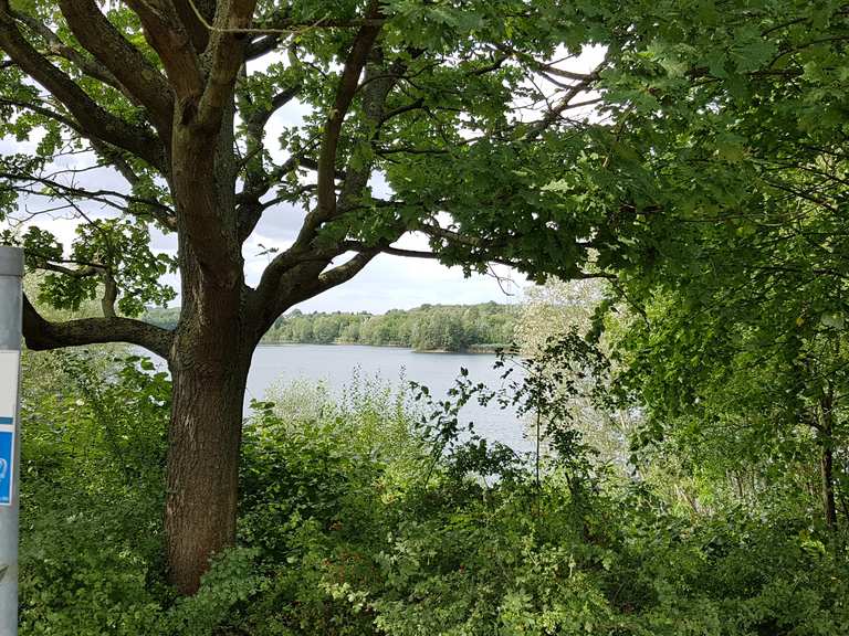 Pescher See - Cycle Routes and Map | Komoot