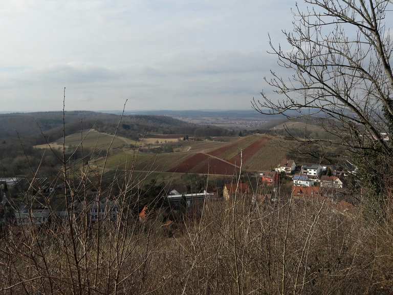 Schloss und Wasserturm Sternenfels Routes for Walking and Hiking | Komoot